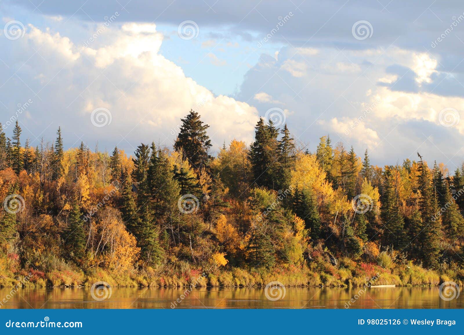 Autumn Day in Alberta stock photo. Image of tranquility - 98025126