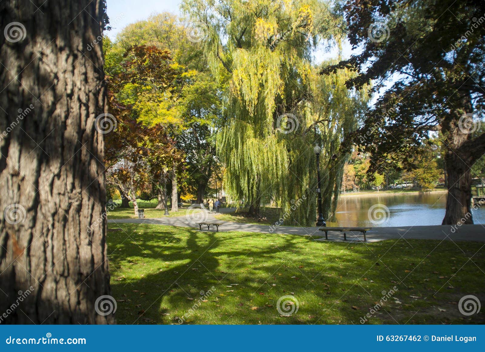 Autumn day Boston Common stock photo. Image of city, massachusetts ...