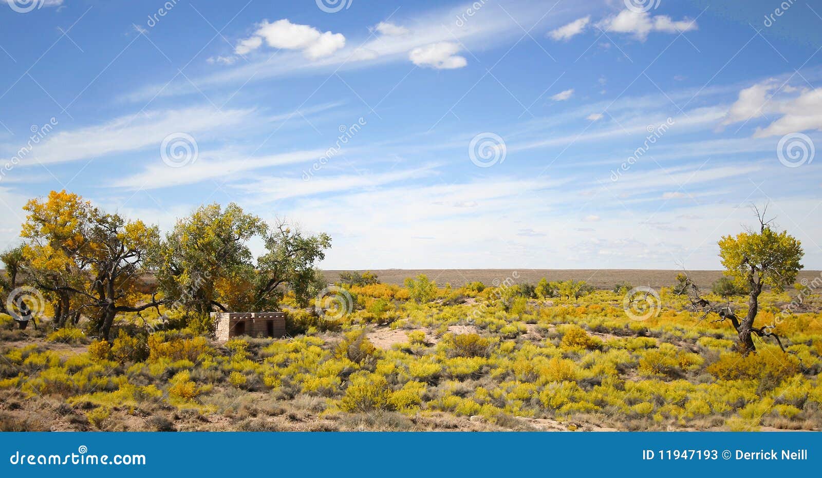 An Autumn Day on the Desert Stock Image - Image of leaves, rabbit: 11947193