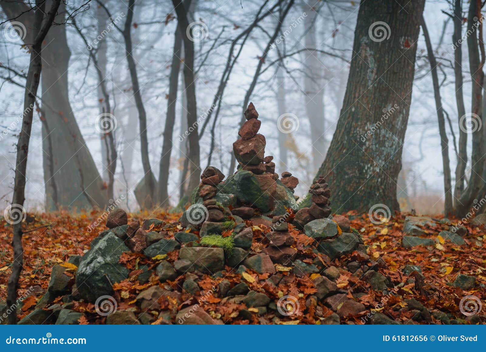 Autumn Day in the Enchanted Forest Stock Photo - Image of leaf, autumn ...