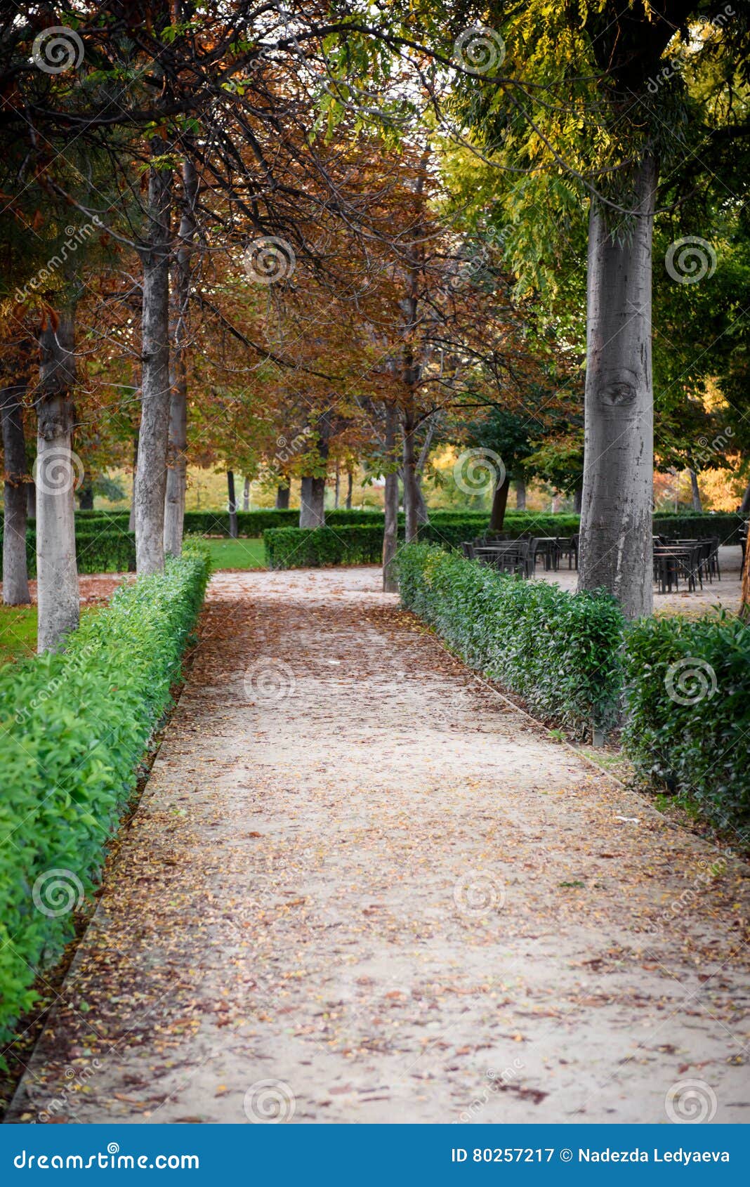 Autumn Day, the Streets of Madrid Stock Image - Image of history ...