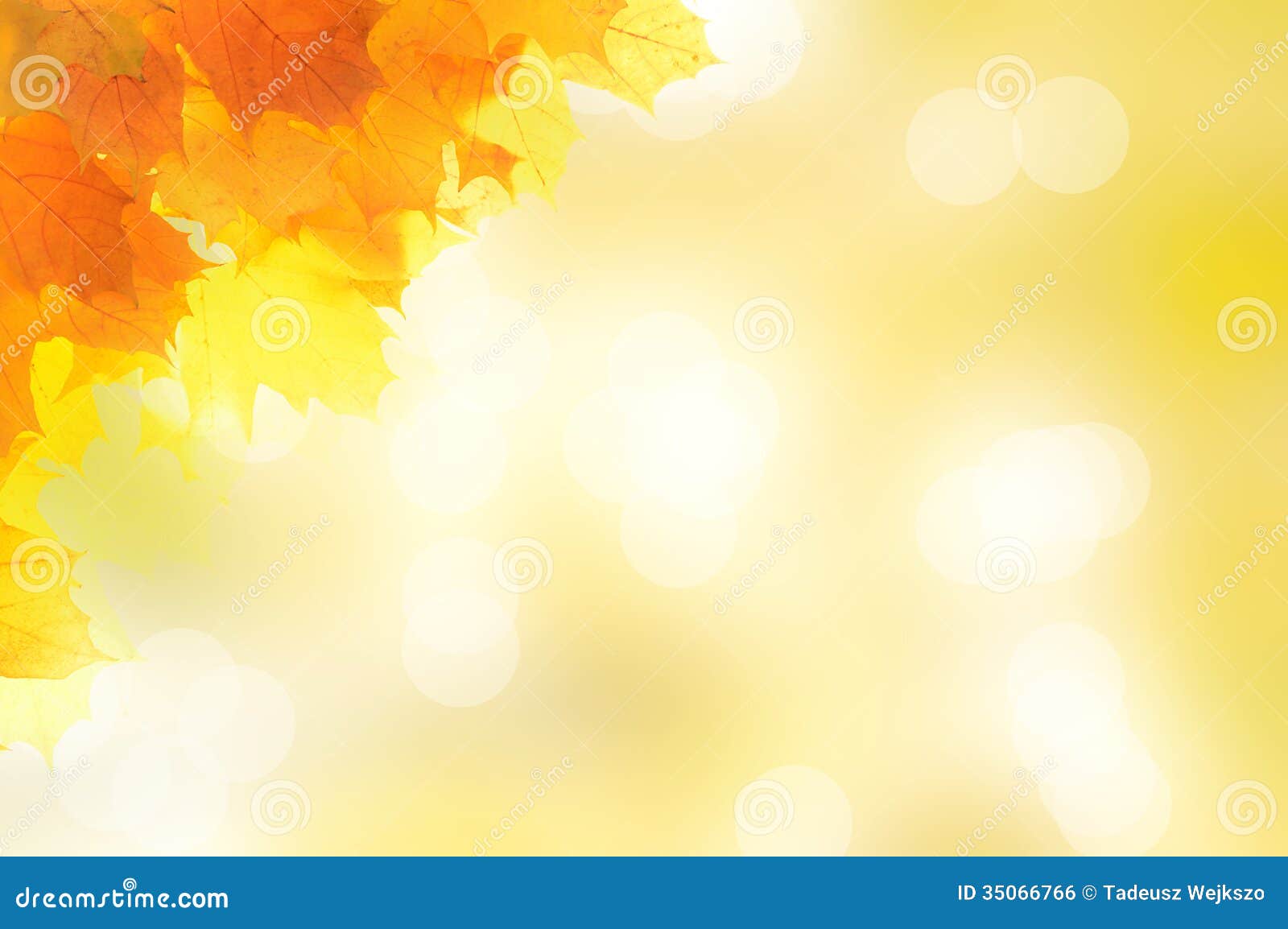 Autumn Decoration Corner Made of Leaves Stock Photo - Image of ...