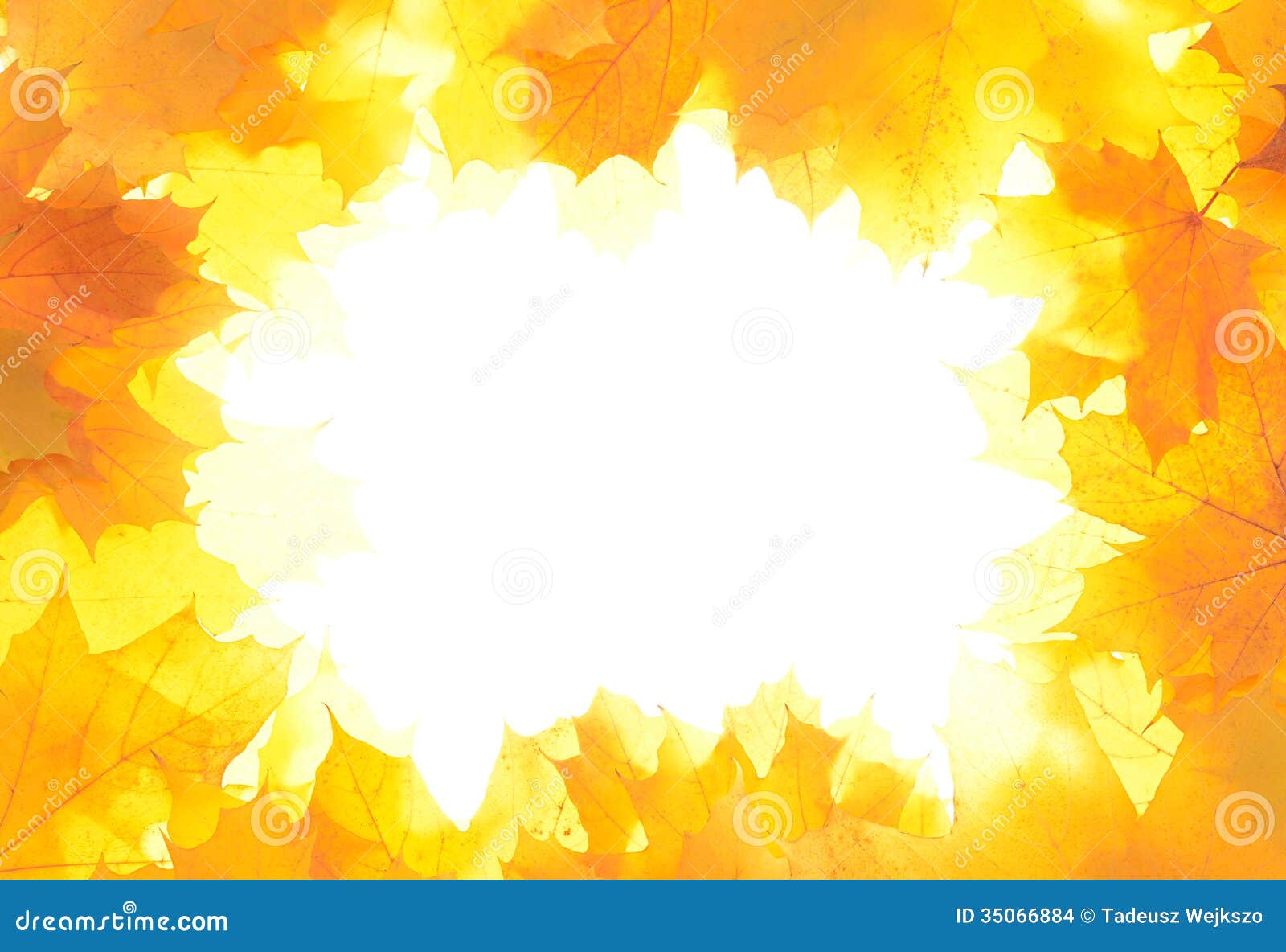 Autumn Decoration Frame Made of Leaves Stock Photo - Image of leaves ...