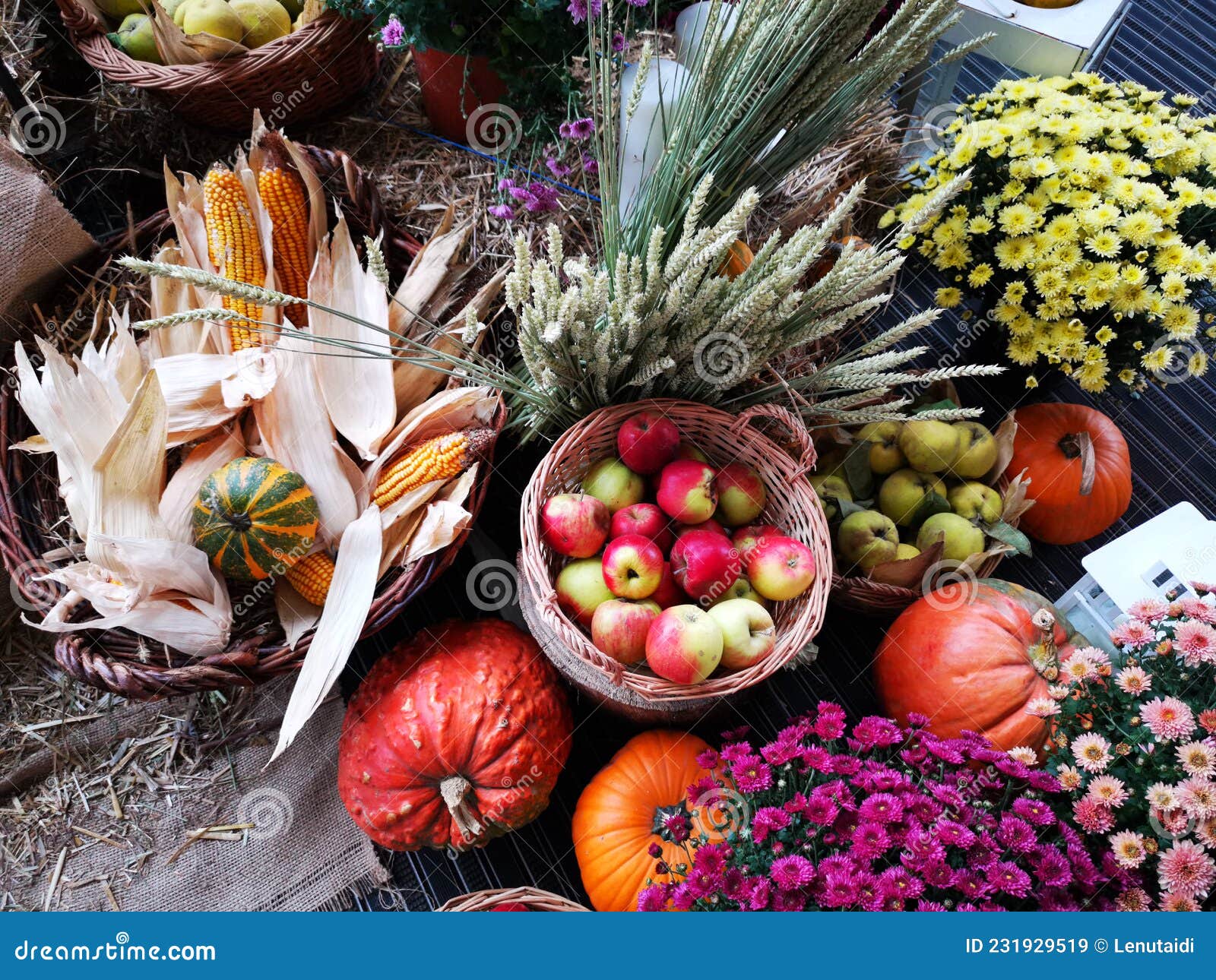 Autumn Decorative Scene with Vegetables and Fruits Stock Image - Image ...
