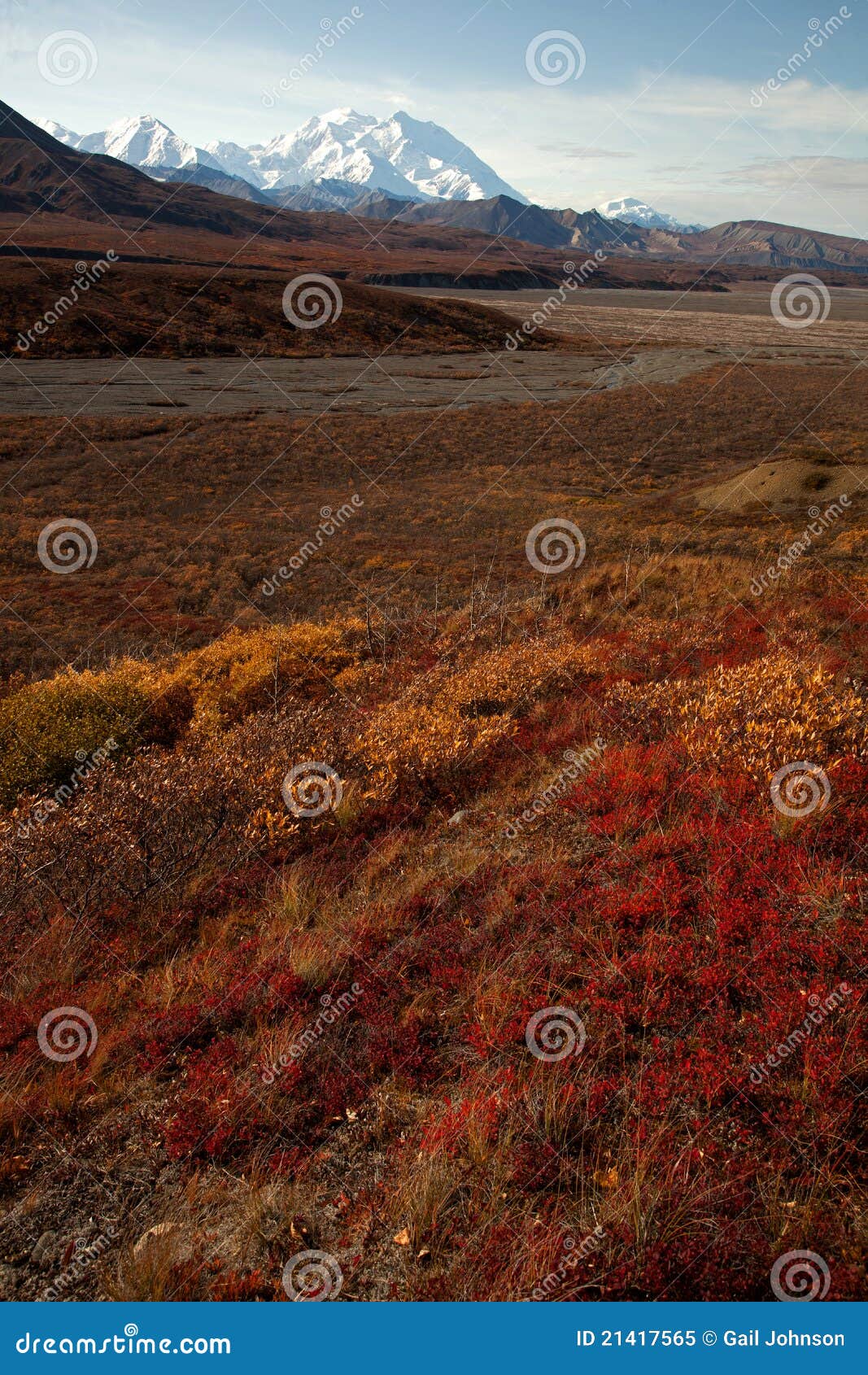 Autumn in Denali and Red Brush Stock Image - Image of landscape, denali ...