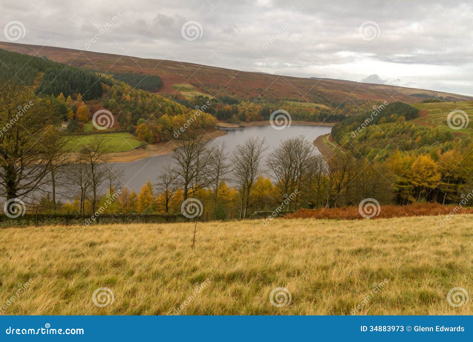 Autumn in the Derwent Valley Stock Image - Image of yellow, orange ...
