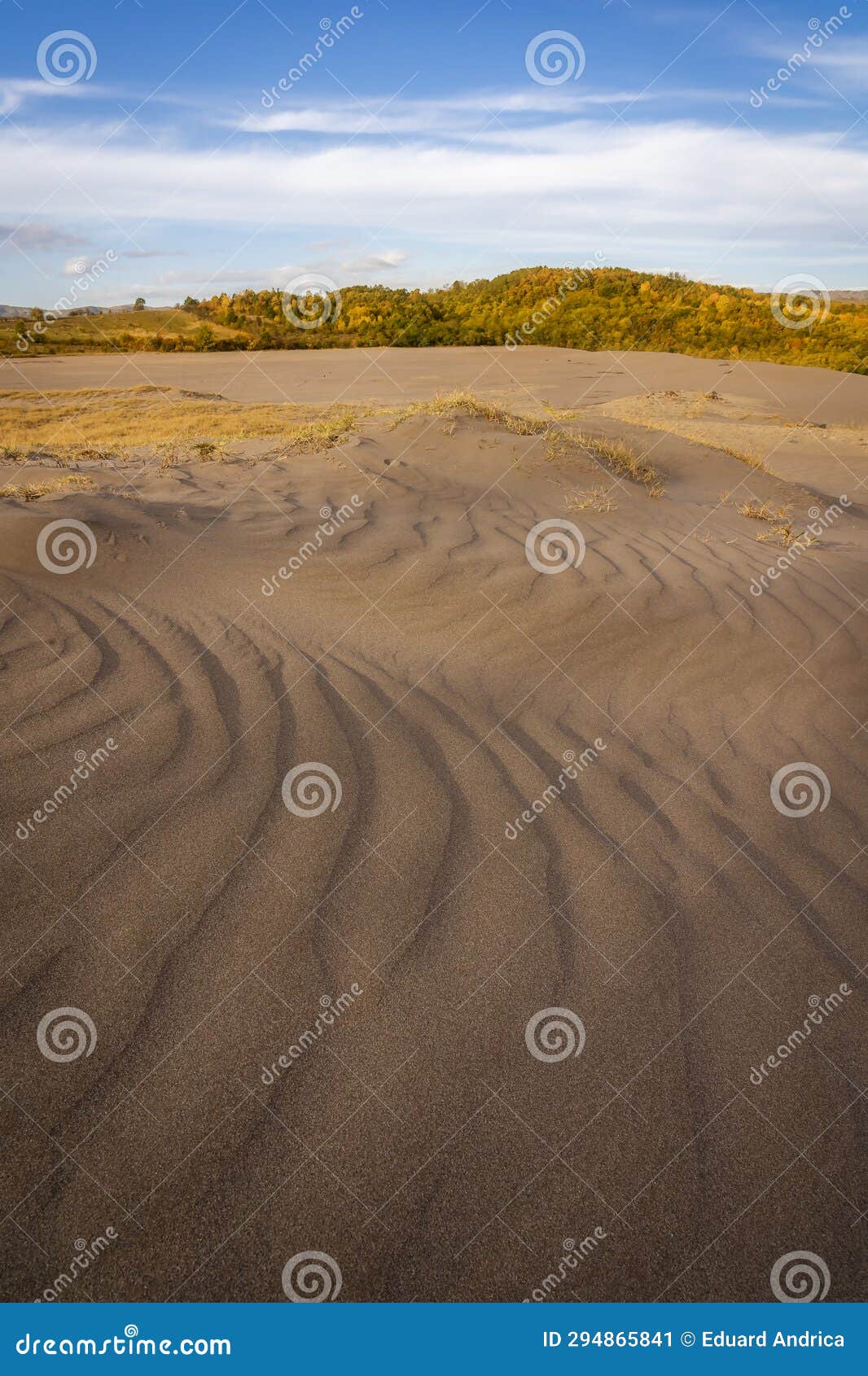 Autumn in desert stock image. Image of hills, environment - 294865841