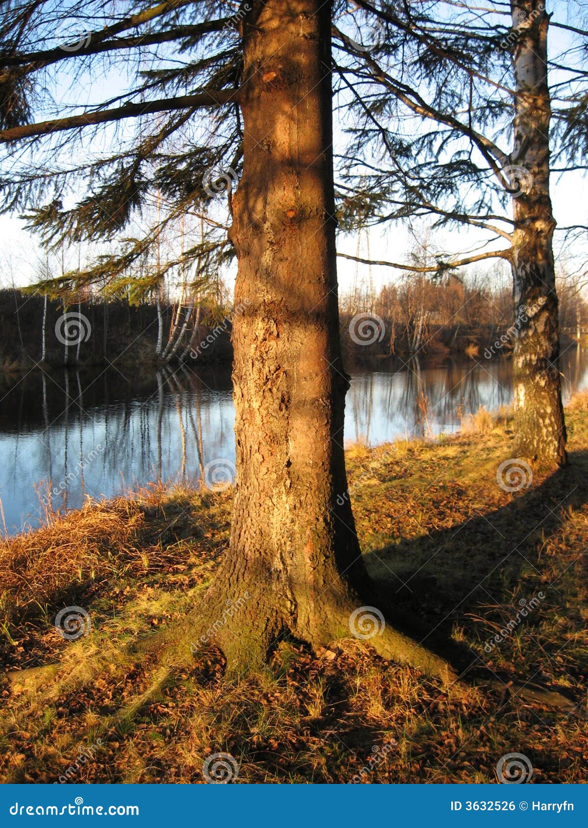 Autumn detail stock photo. Image of deep, lapland, reflection - 3632526