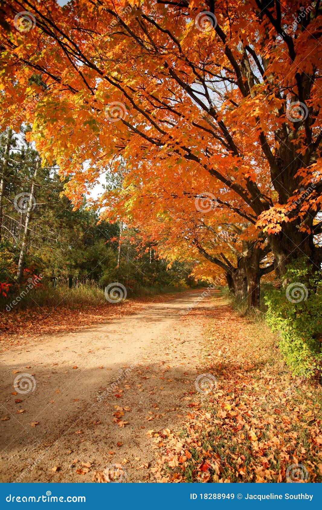 Autumn Dirt Road stock image. Image of brilliant, rural - 18288949