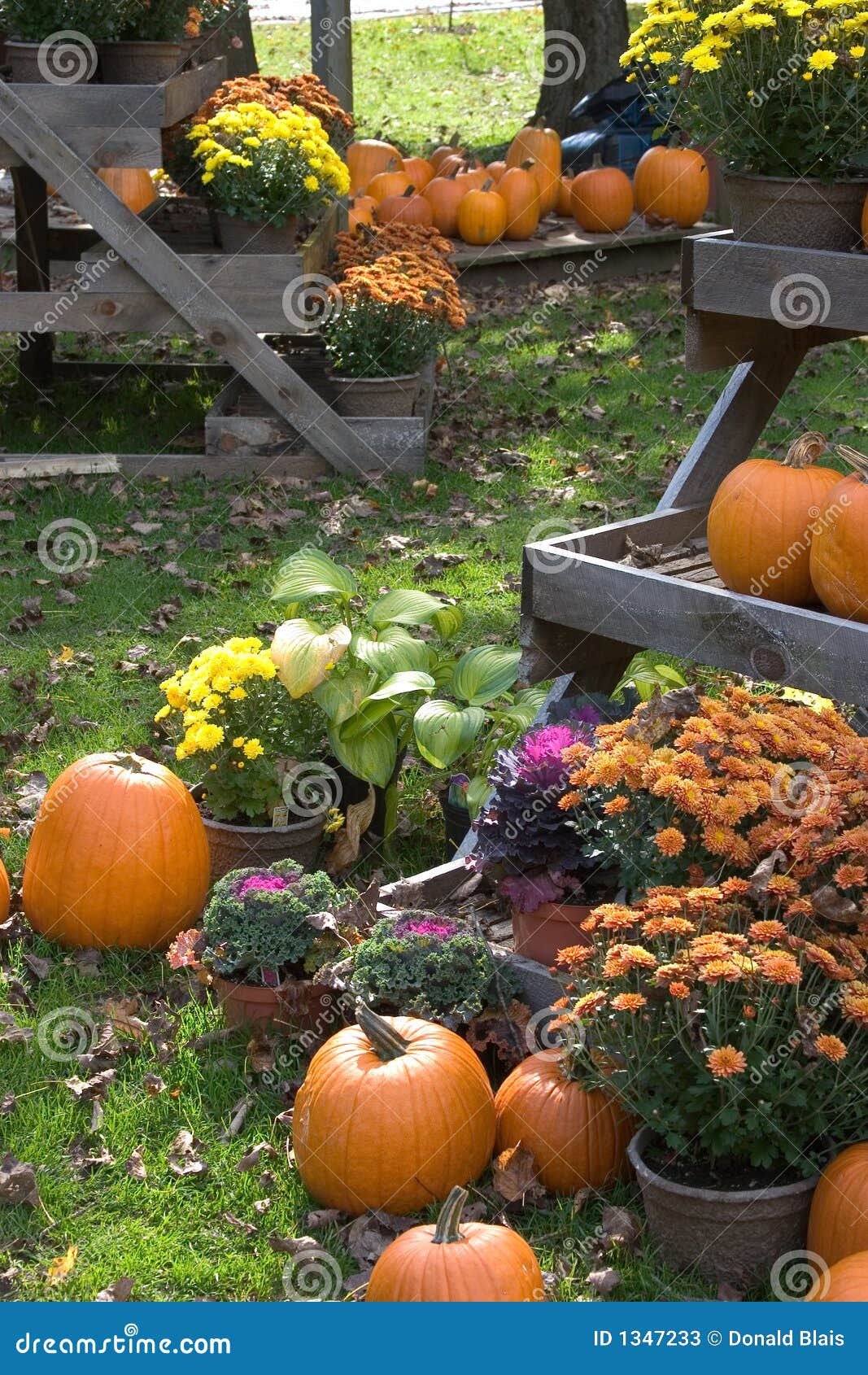 Autumn Display stock image. Image of masks, apples, mums - 1347233