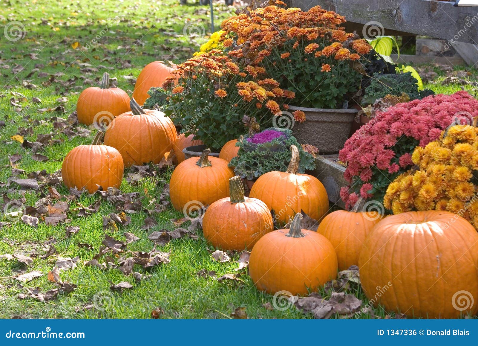 Autumn Display stock photo. Image of apples, halloween - 1347336