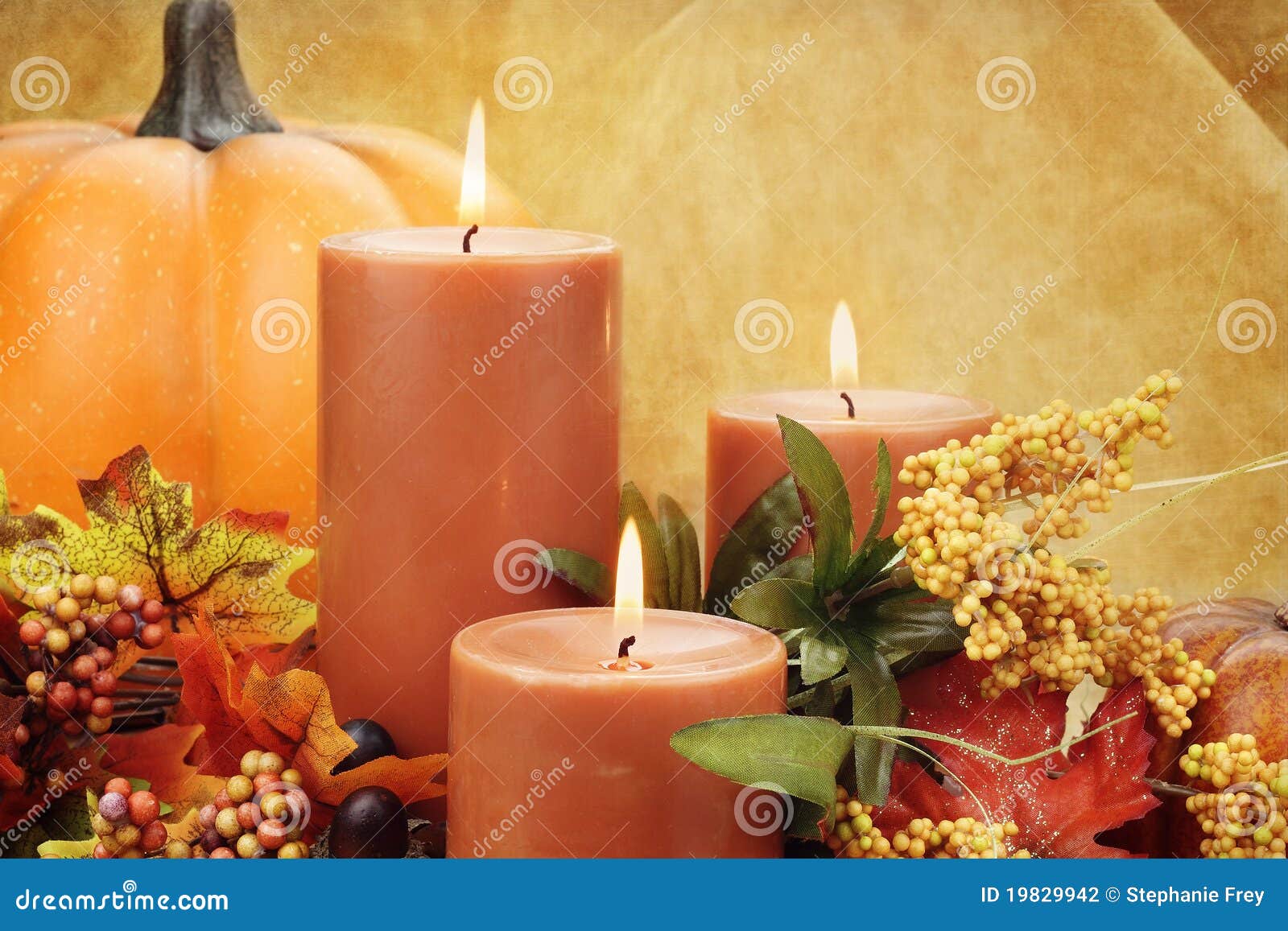Autumn Display stock photo. Image of horizontal, arrangement - 19829942