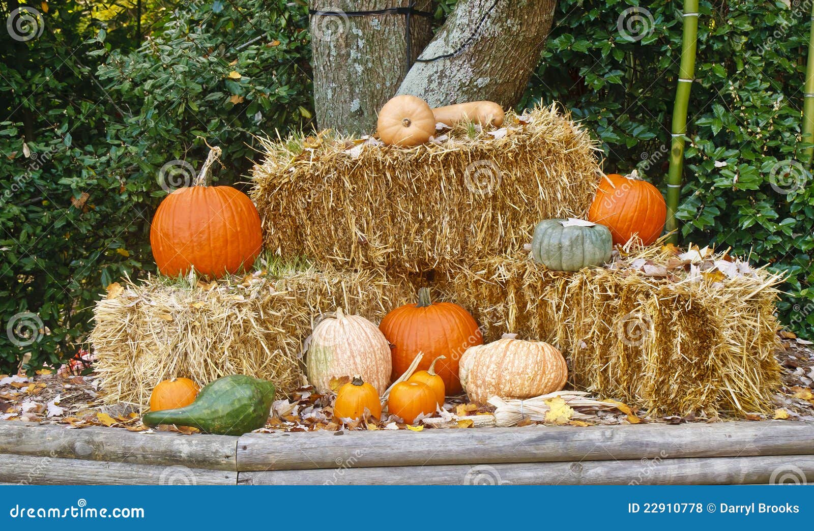 Autumn Display Of Straw And Pumpkins Royalty Free Stock Photos - Image ...
