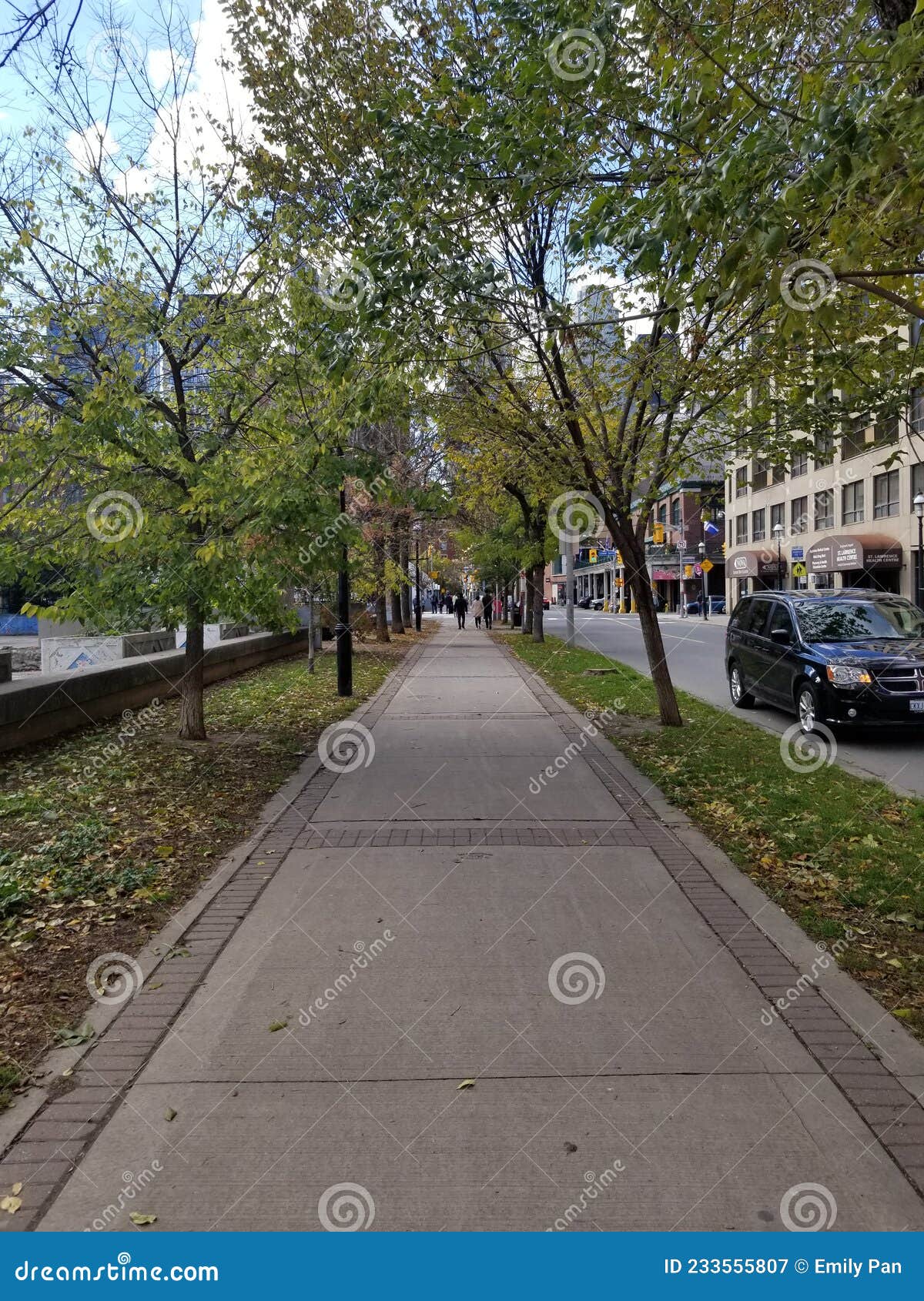 Autumn Downtown Toronto editorial photography. Image of tree - 233555807