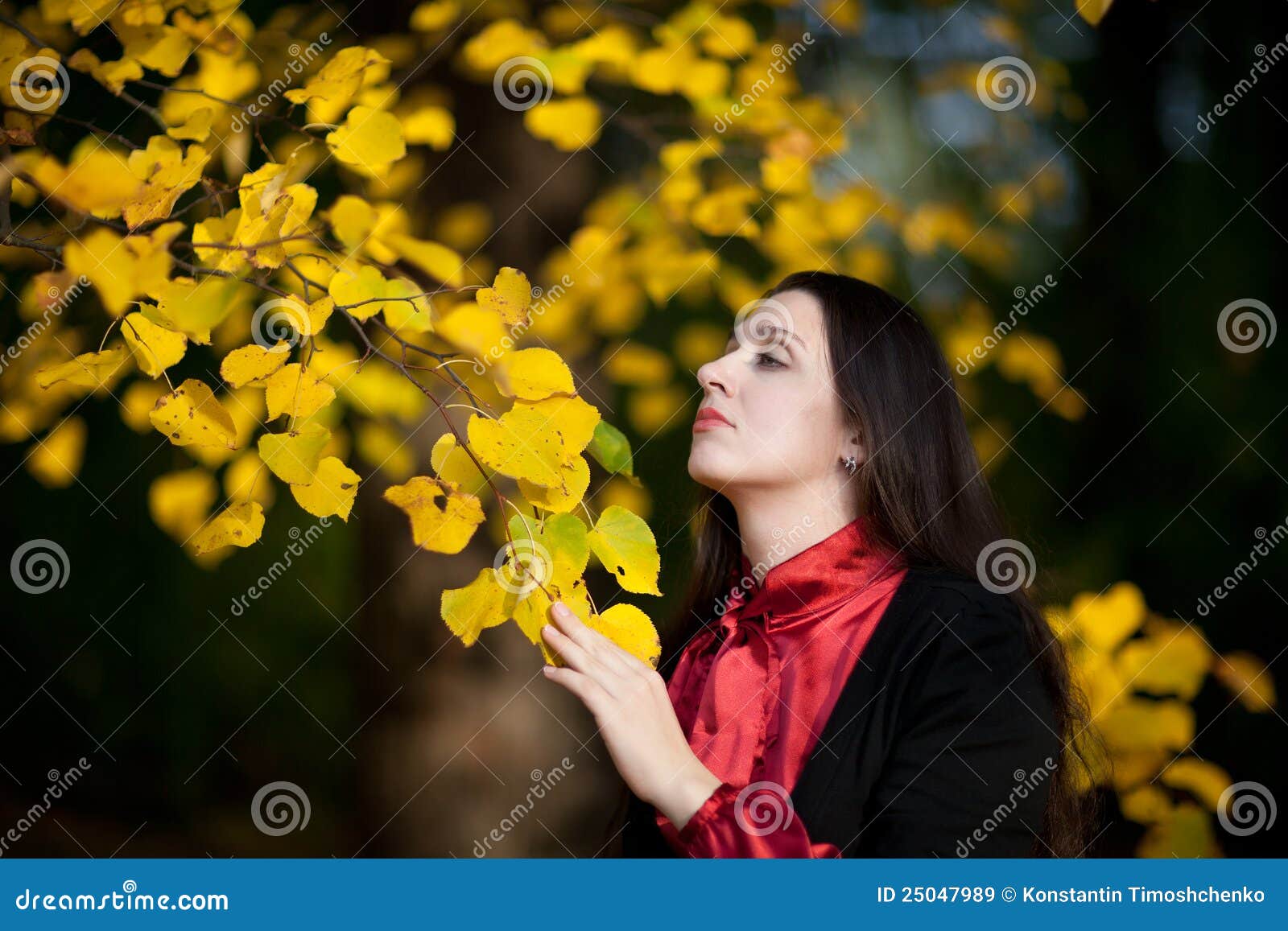 Autumn dreams stock image. Image of landscape, contemporary - 25047989