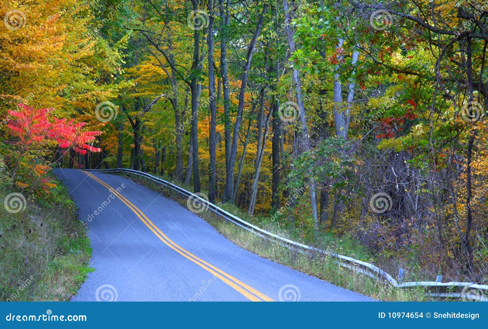 Autumn drive stock photo. Image of landscape, season - 10974654
