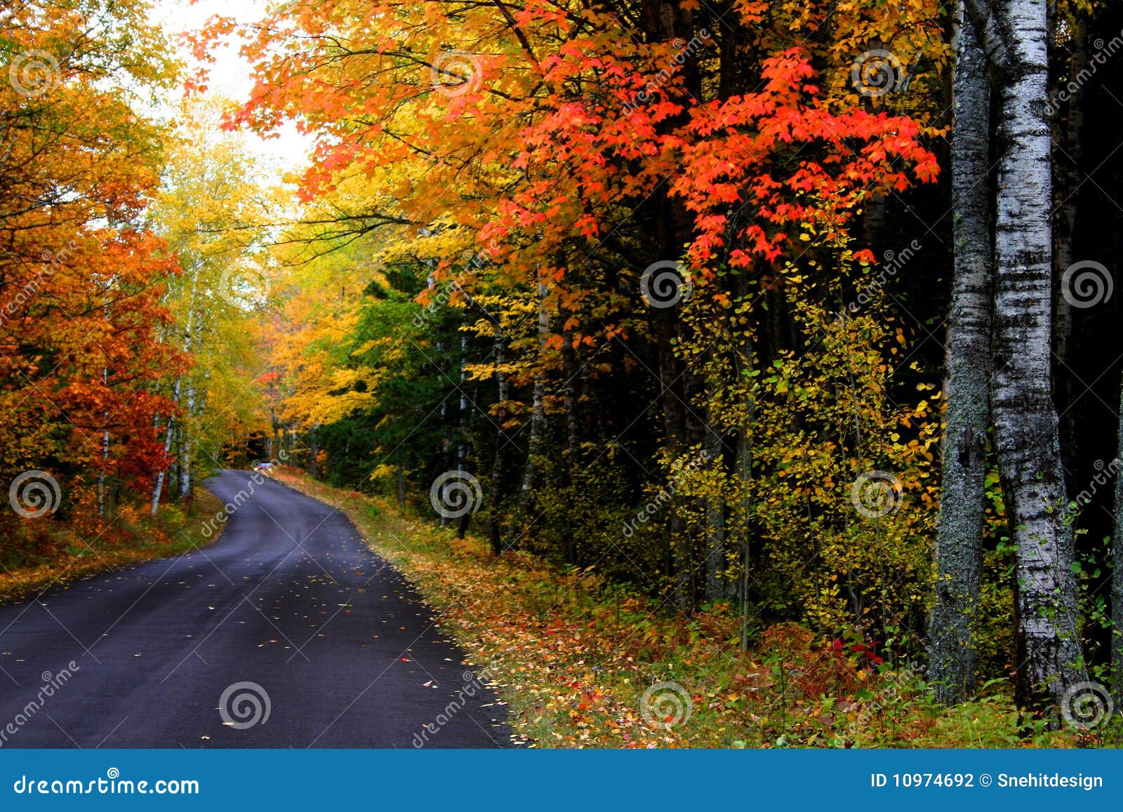 Autumn drive stock photo. Image of season, colorful, scenic - 10974692