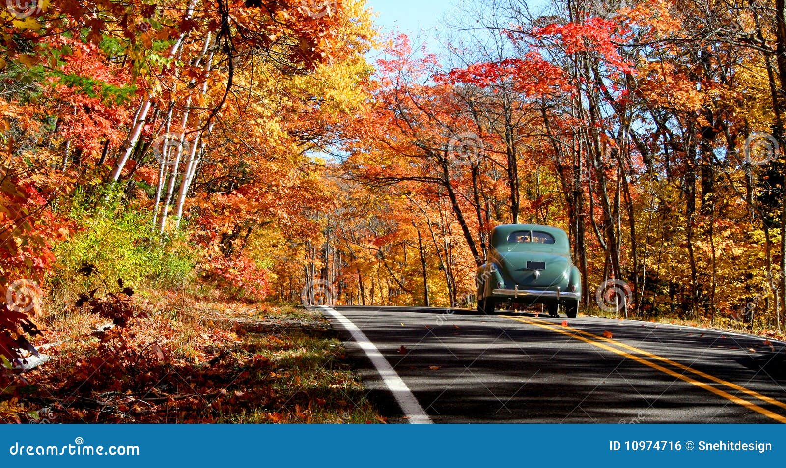 Autumn drive stock photo. Image of view, drive, season - 10974716