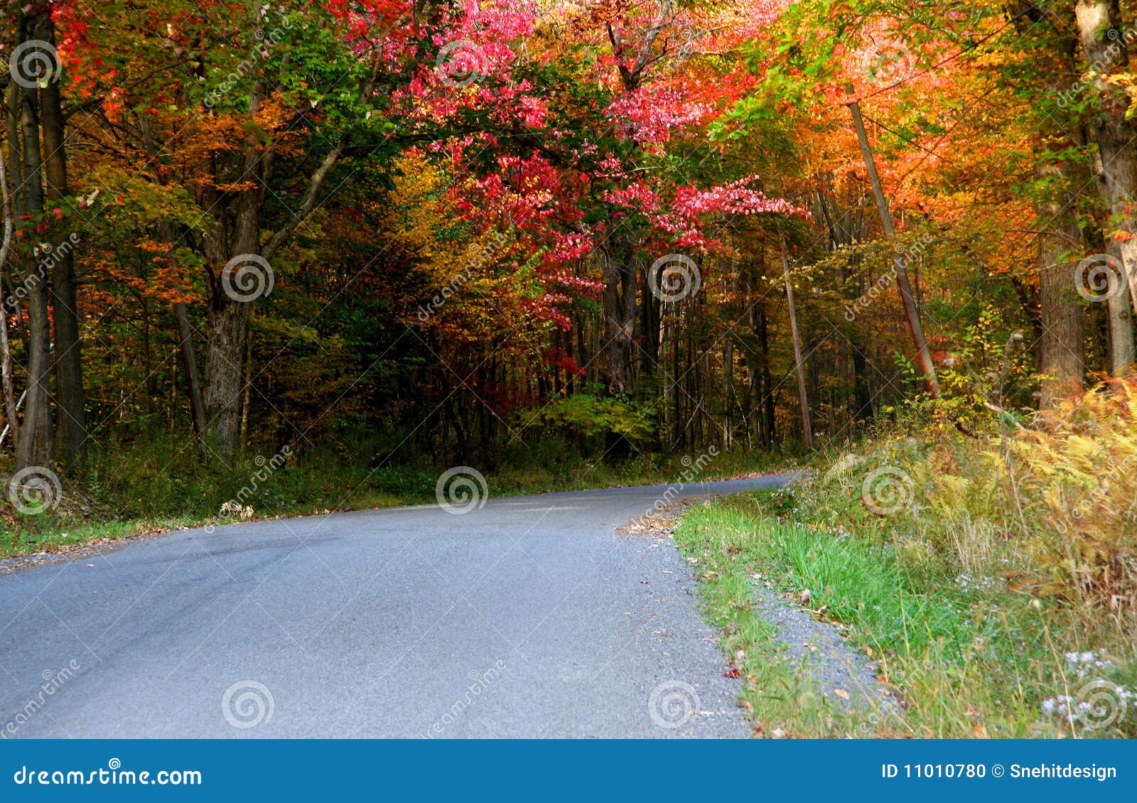 Autumn drive stock photo. Image of colors, nature, seasons - 11010780