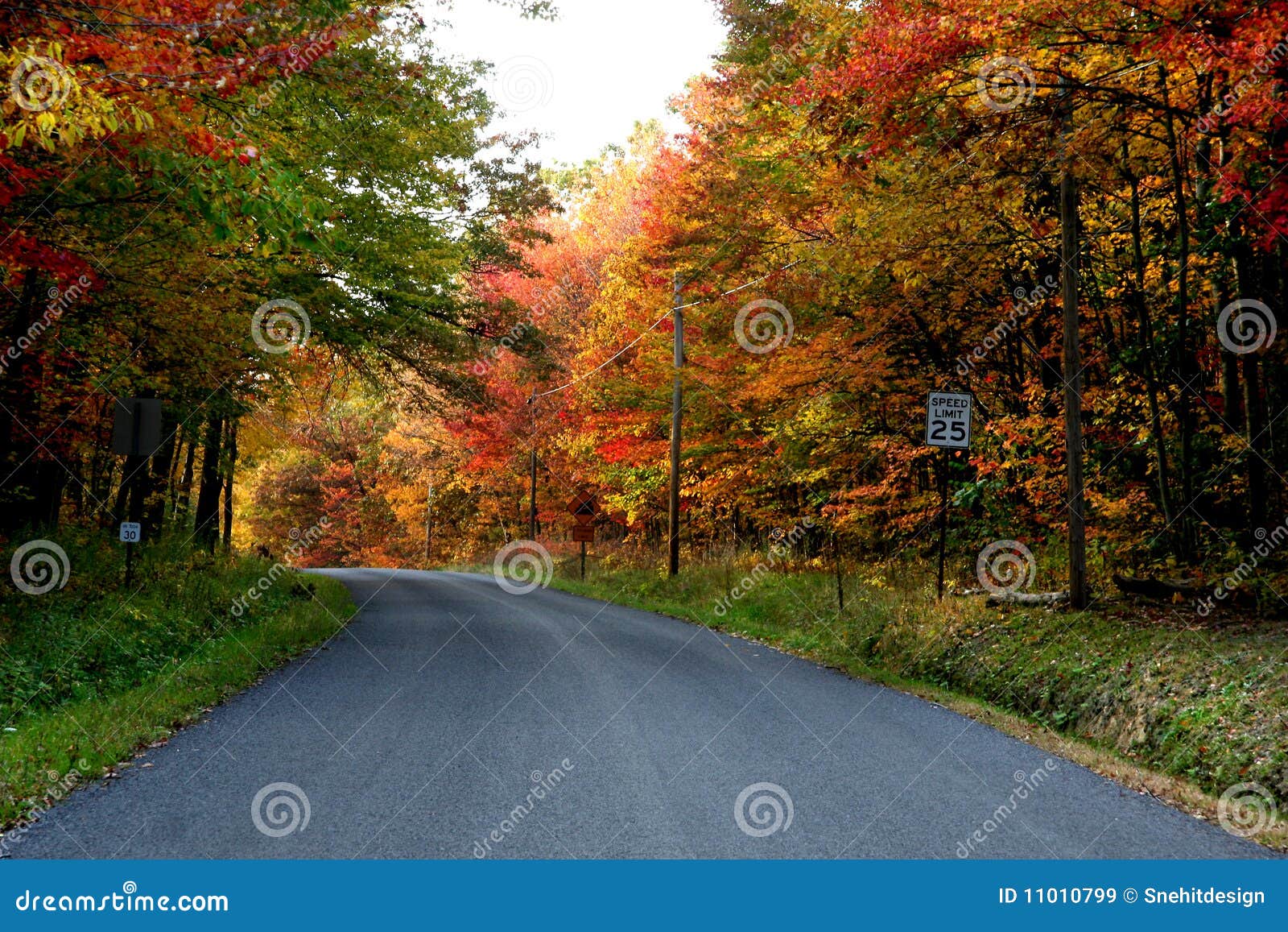 Autumn drive stock image. Image of scenic, walk, drive - 11010799