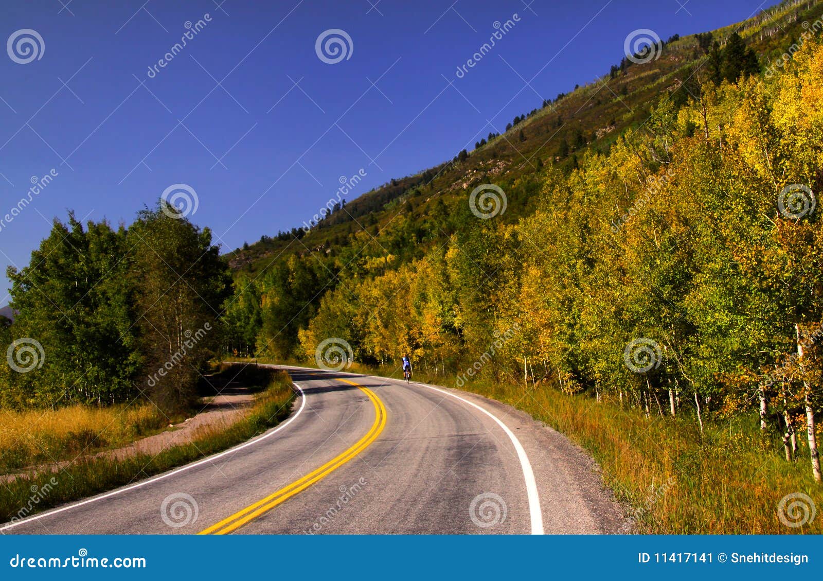 Autumn drive stock image. Image of byway, gold, nature - 11417141