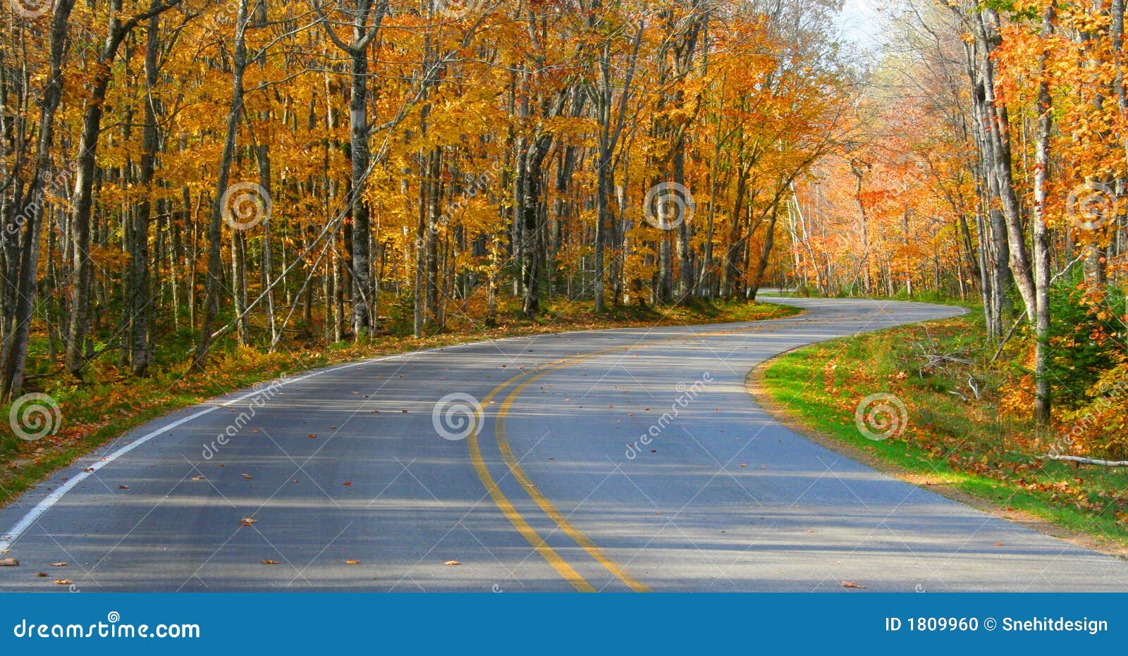 Autumn drive stock photo. Image of colour, park, highway - 1809960