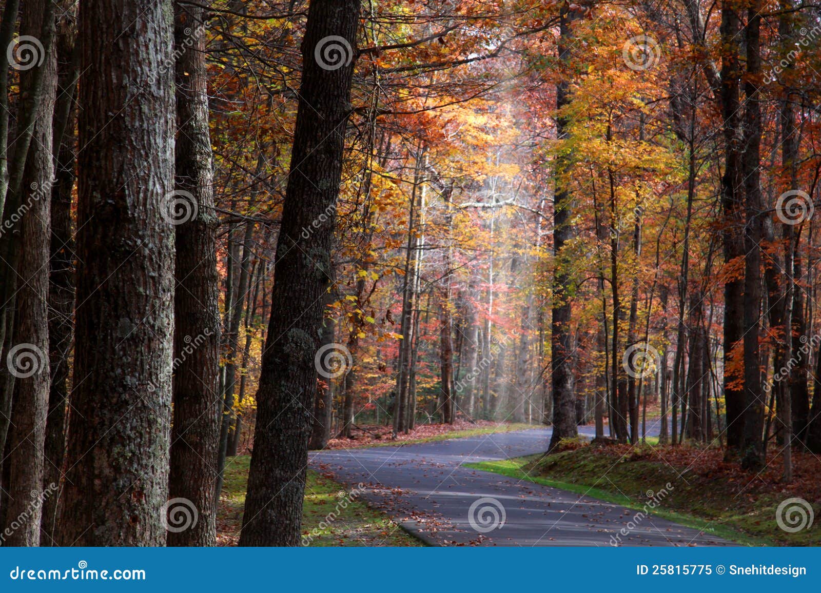 Autumn drive stock image. Image of peaceful, autumn, leaf - 25815775