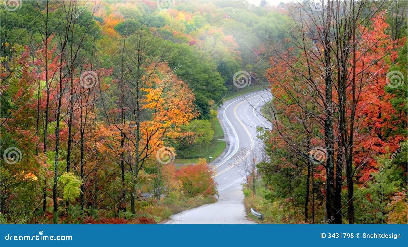 Autumn drive stock photo. Image of tree, colorful, country - 3431798