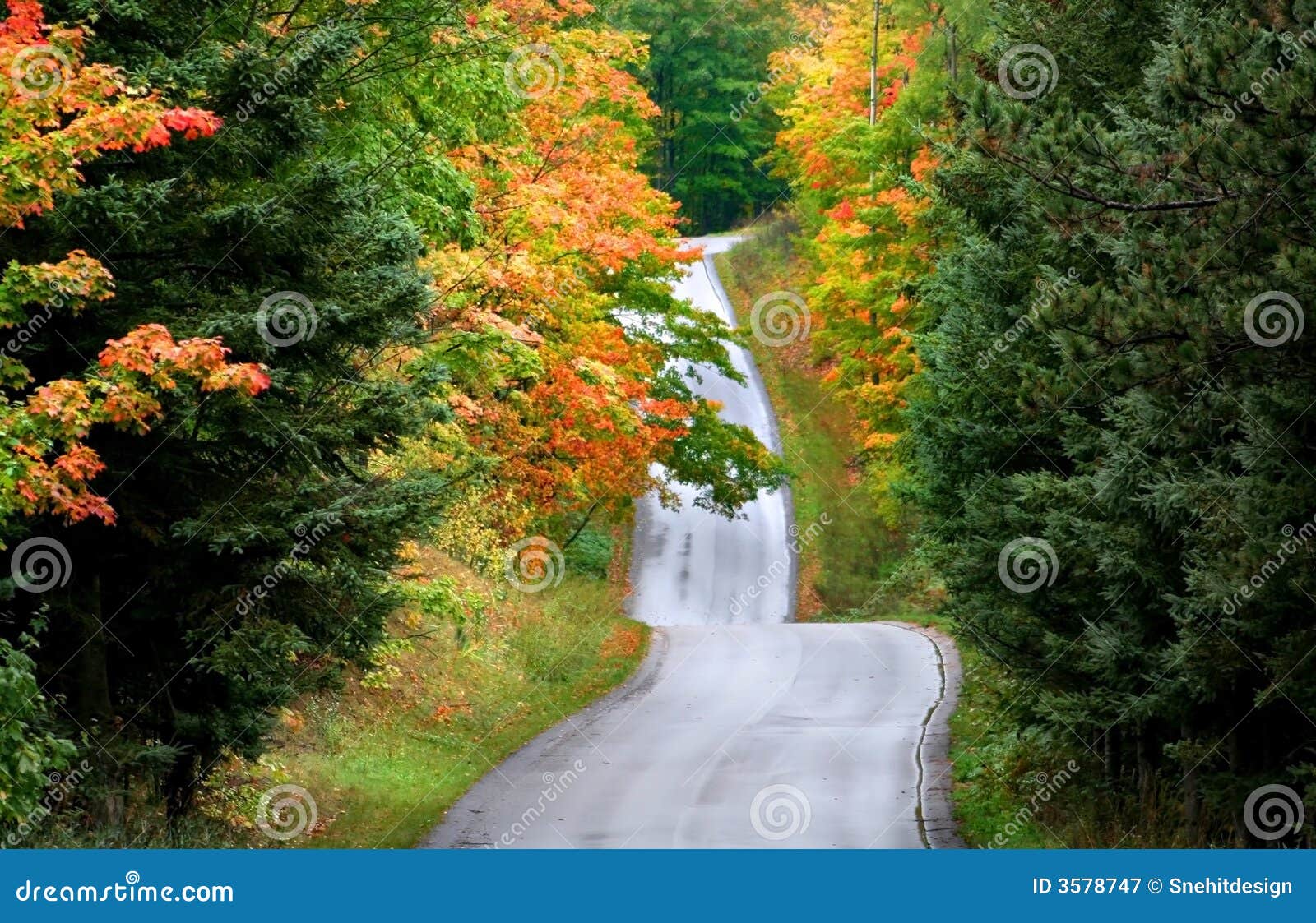 Autumn Drive stock image. Image of seasonal, tree, autumn - 3578747