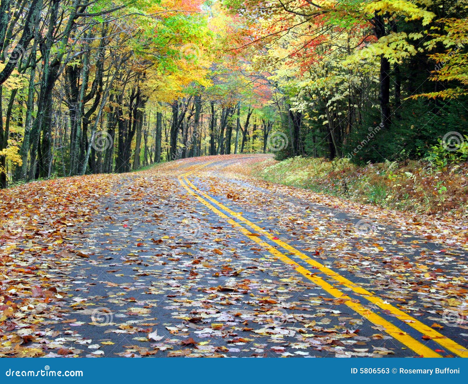 Autumn Drive stock image. Image of passage, road, highway - 5806563