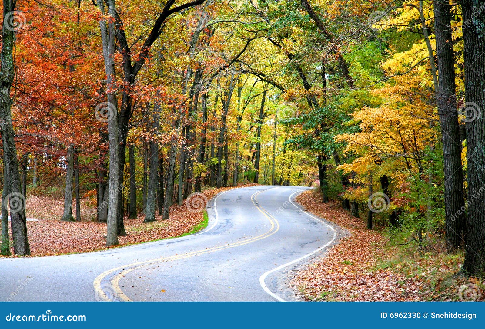 Autumn Drive stock photo. Image of path, avenue, scenery - 6962330