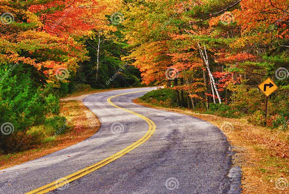 Autumn Drive in New England Stock Photo - Image of pavement, woods ...