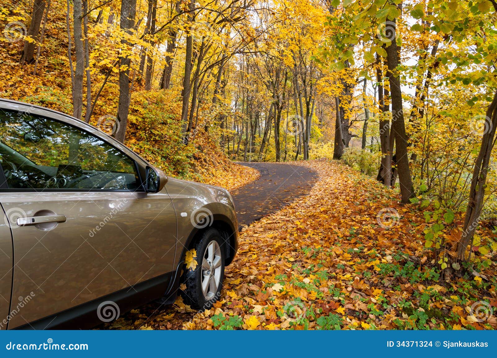 Autumn driving stock photo. Image of drive, countryside - 34371324