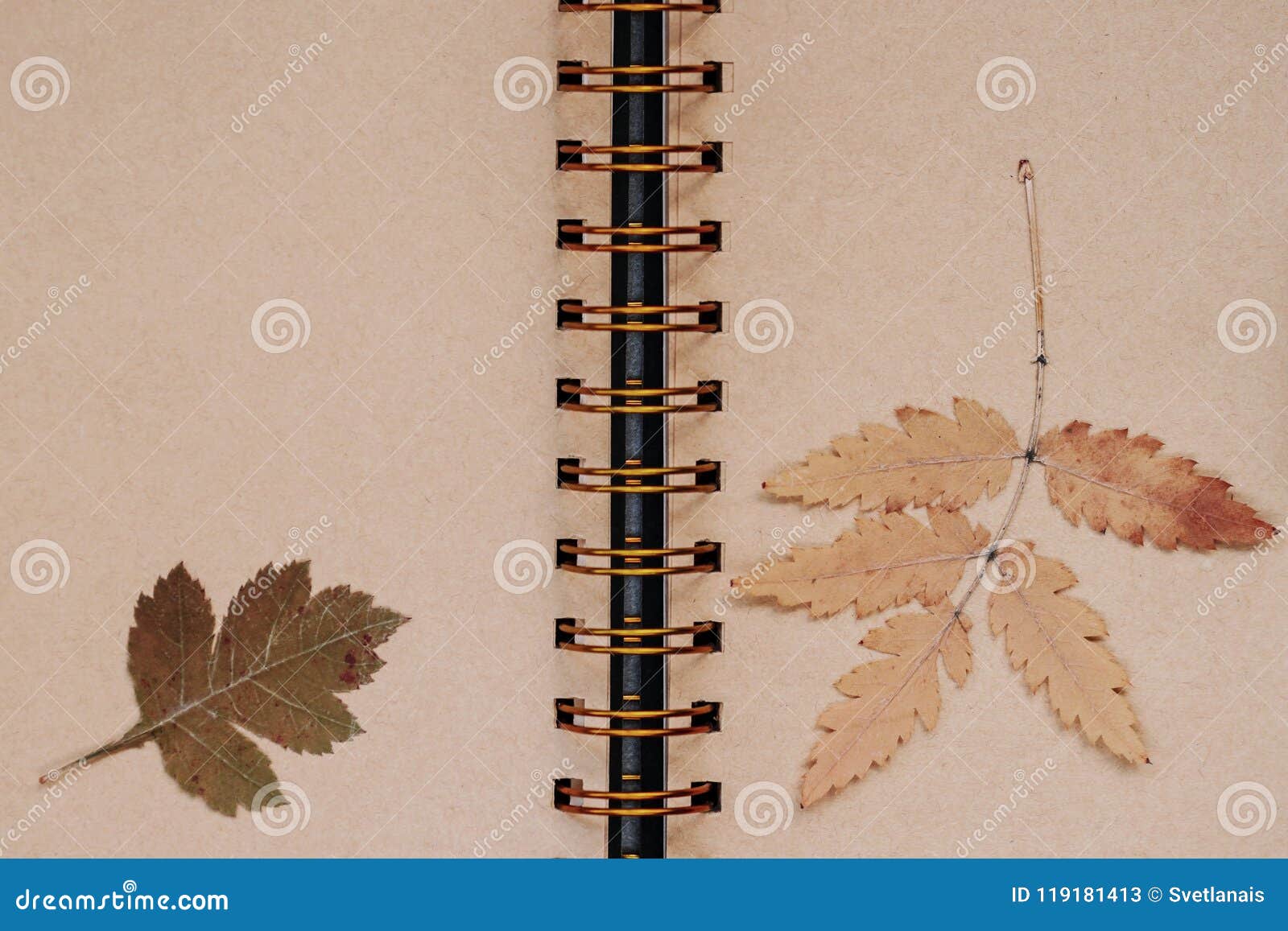 Autumn Dry Leafs in Open Notebook, Background with Copy Space for Text ...