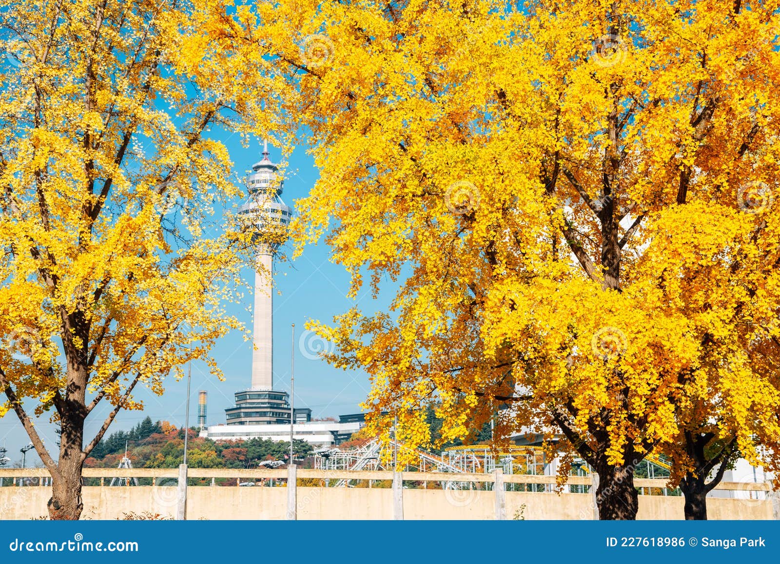 Autumn of Duryu Park in Daegu, Korea Stock Photo - Image of colorful ...