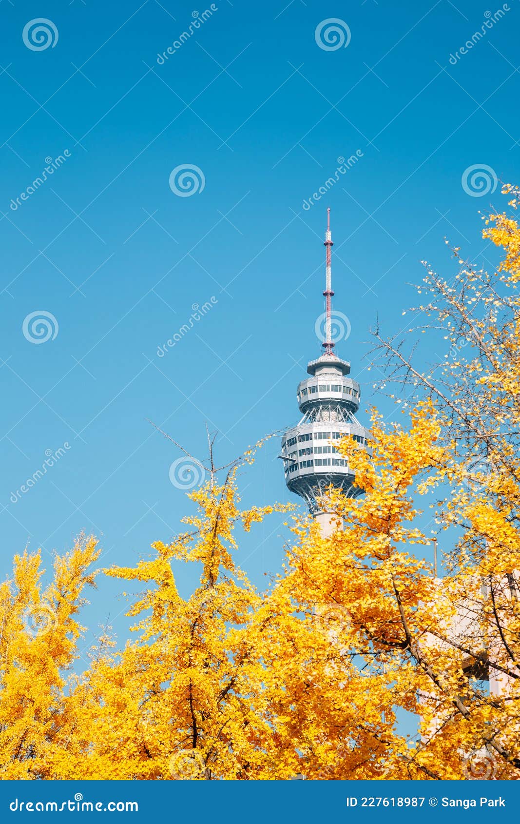 Autumn of Duryu Park in Daegu, Korea Stock Image - Image of colorful ...