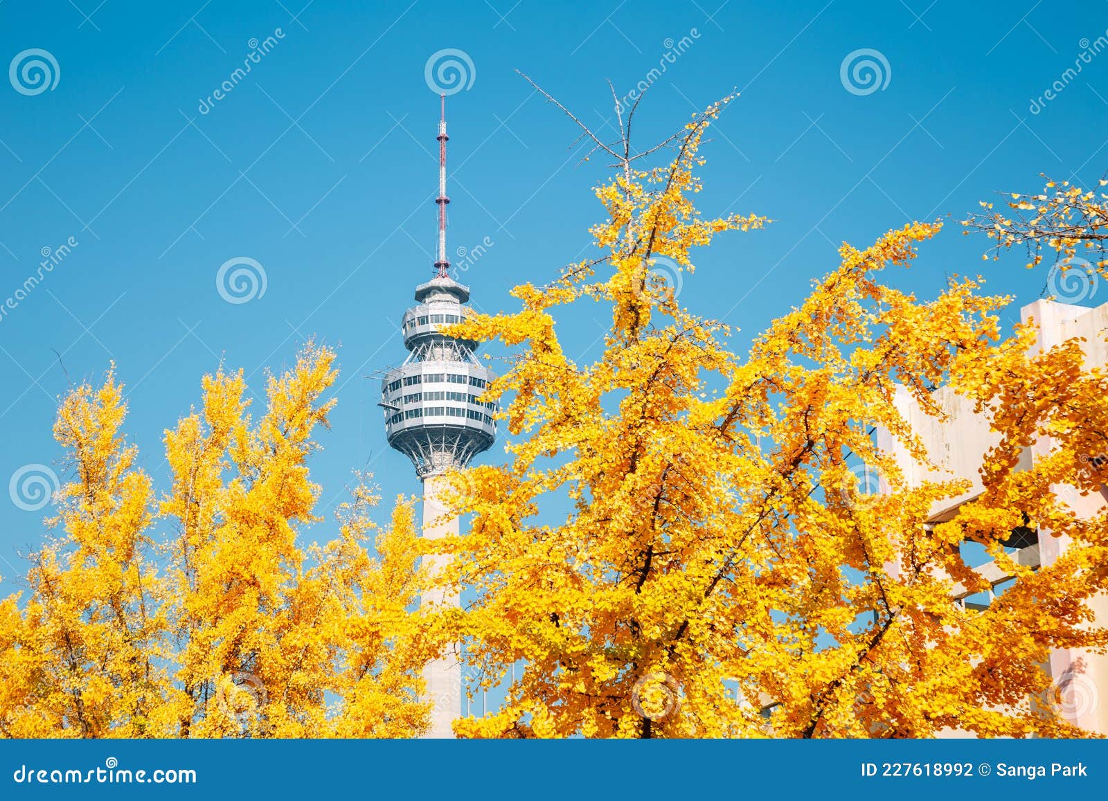 Autumn of Duryu Park in Daegu, Korea Stock Photo - Image of asia ...