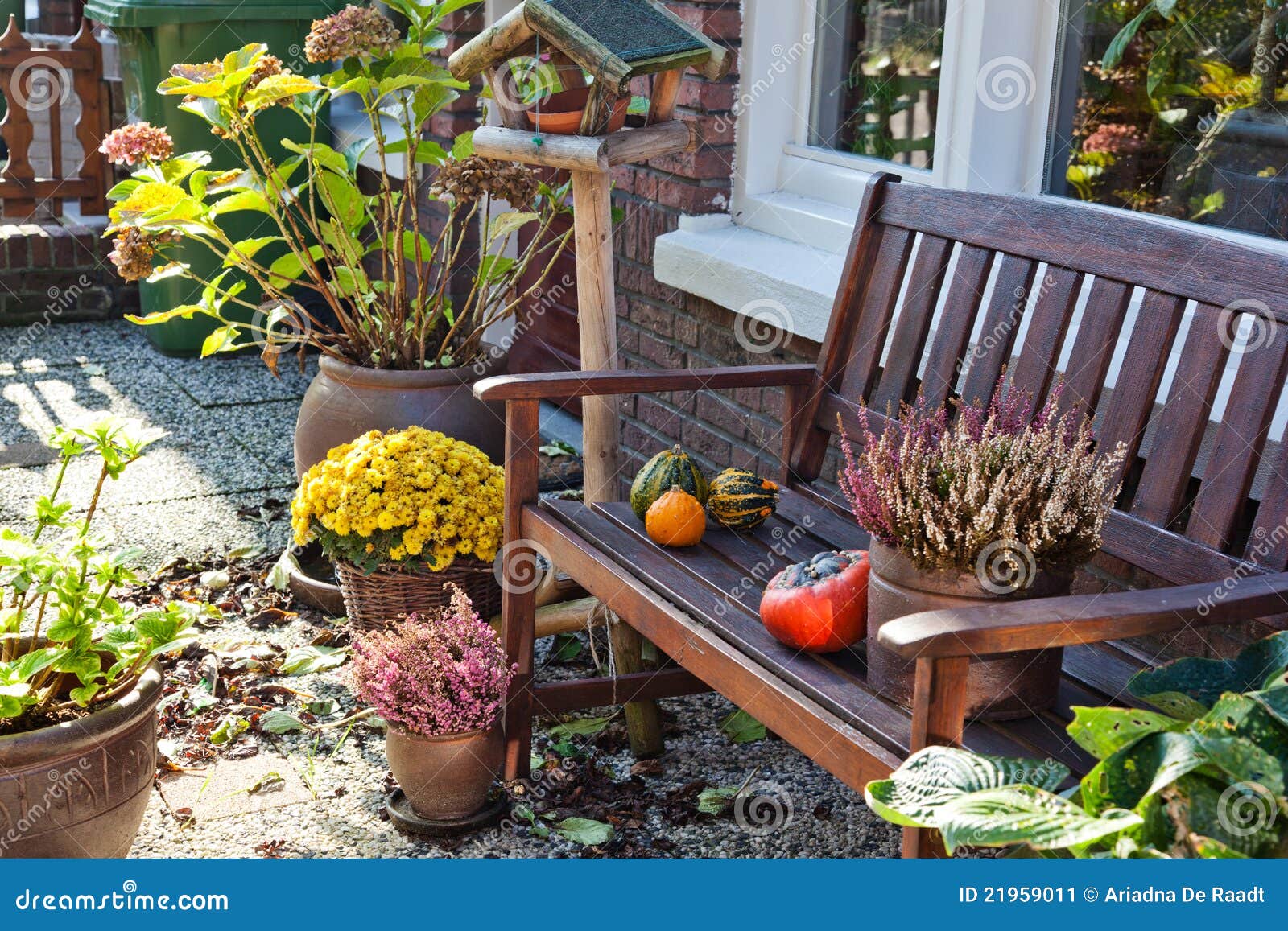 Autumn in dutch garden stock image. Image of climate - 21959011
