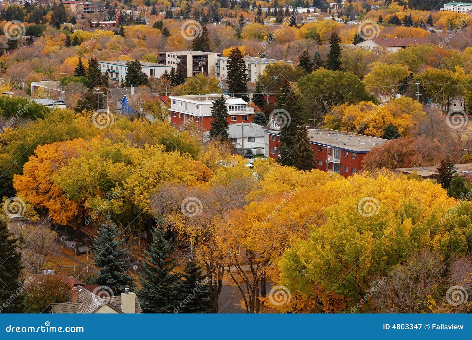 Autumn edmonton stock image. Image of colorful, alberta - 4803347