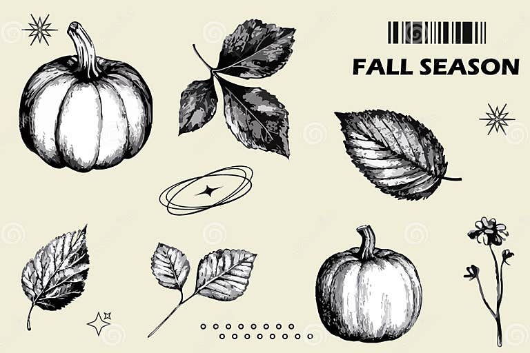 Autumn Fall Season Elements Set with Pumpkin, Herbarium Leaves with ...