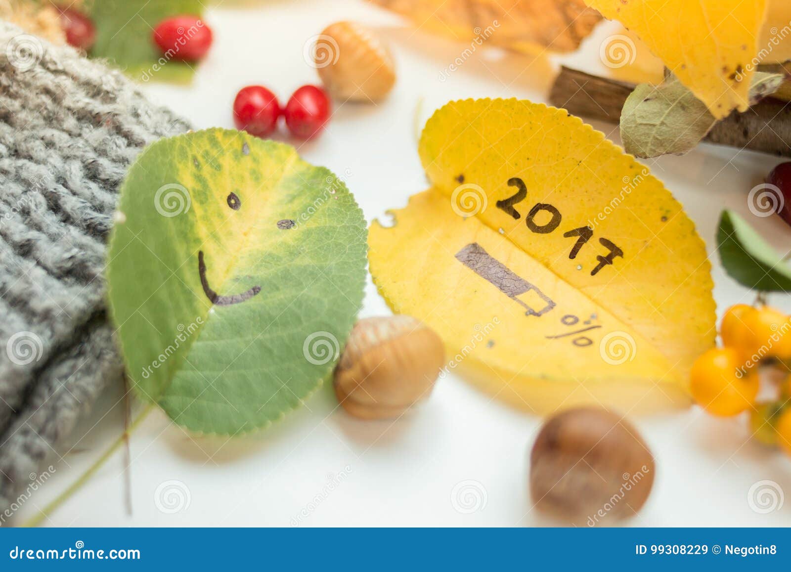 Autumn emotions stock image. Image of outdoor, environment - 99308229