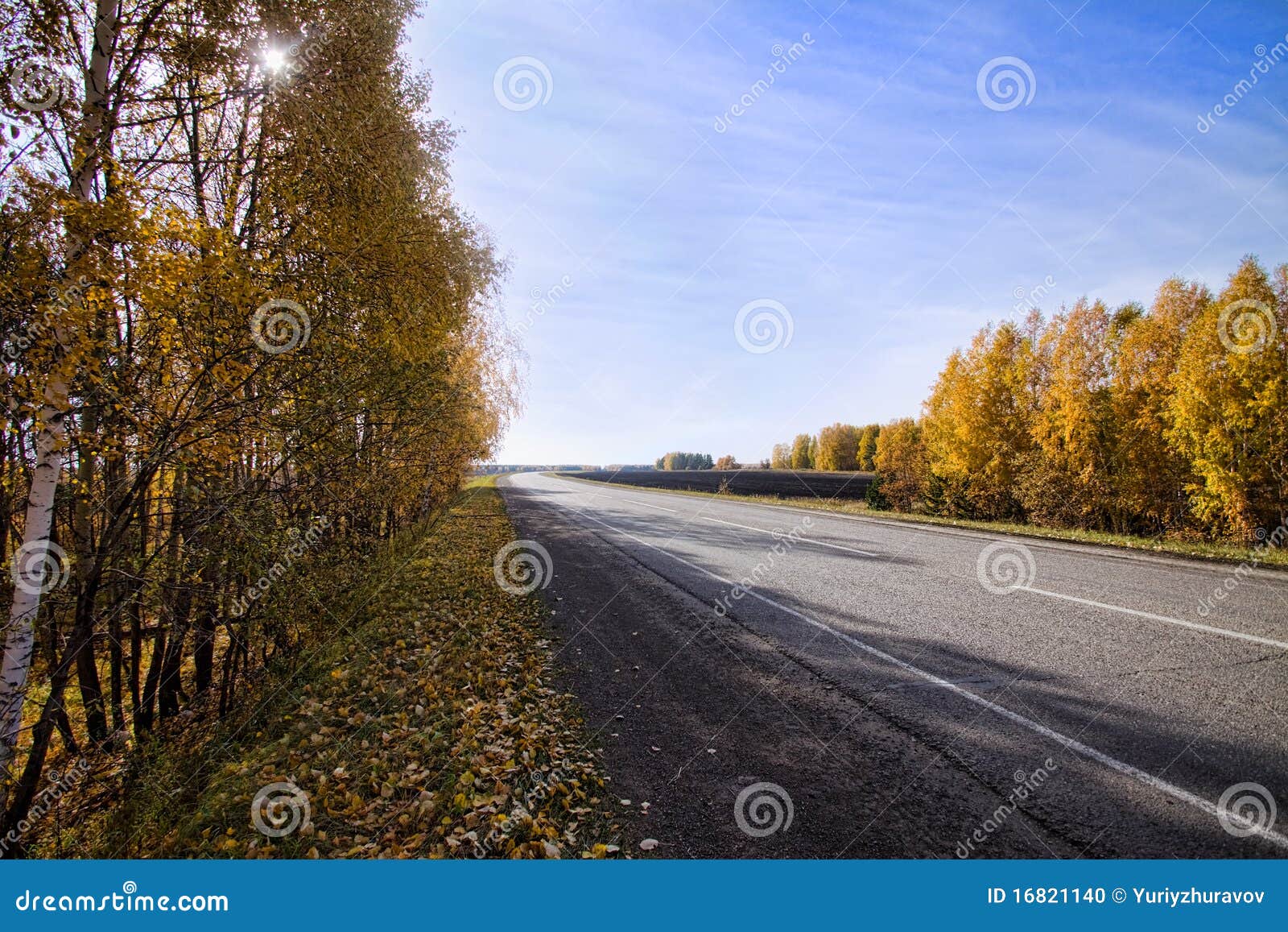 Autumn empty road and sky stock photo. Image of fall - 16821140