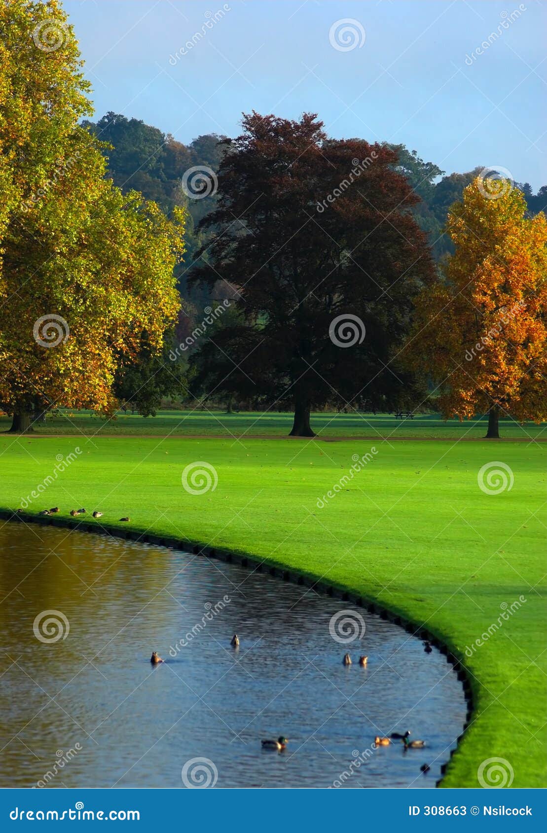 Autumn in England stock image. Image of ecology, green - 308663