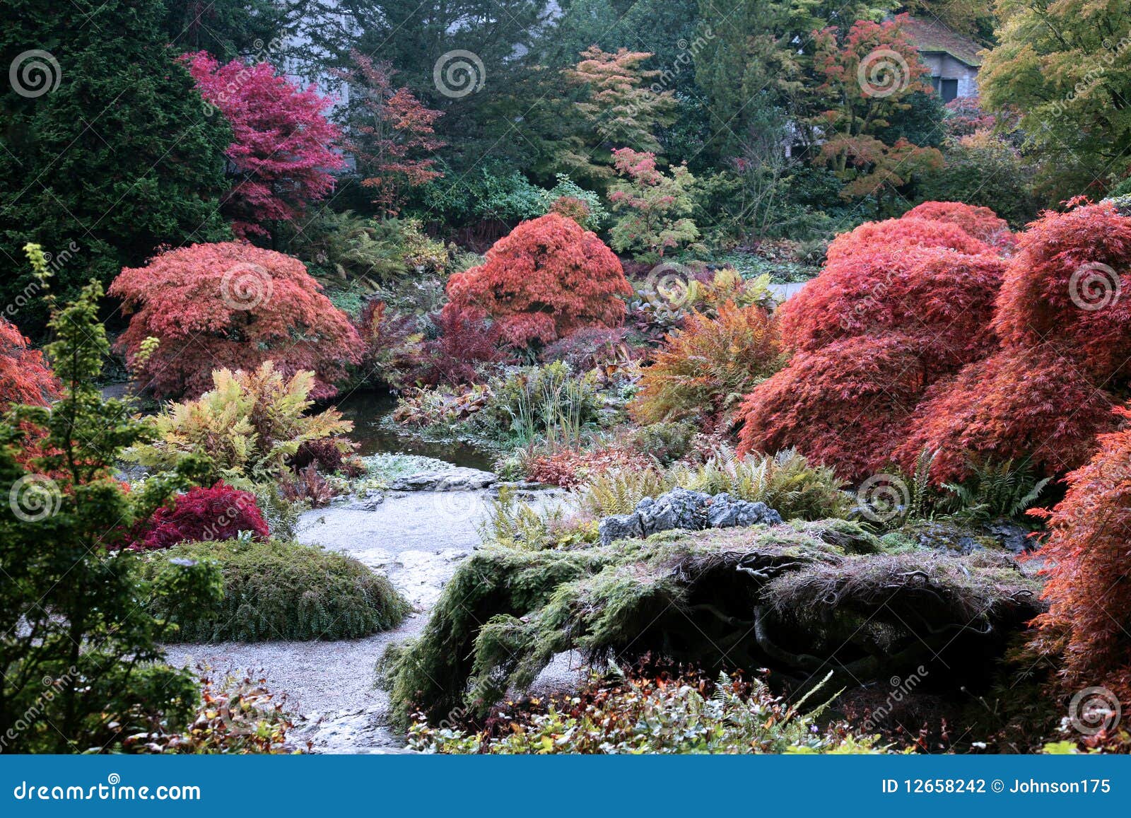 Autumn English Garden stock photo. Image of water, spectacular - 12658242