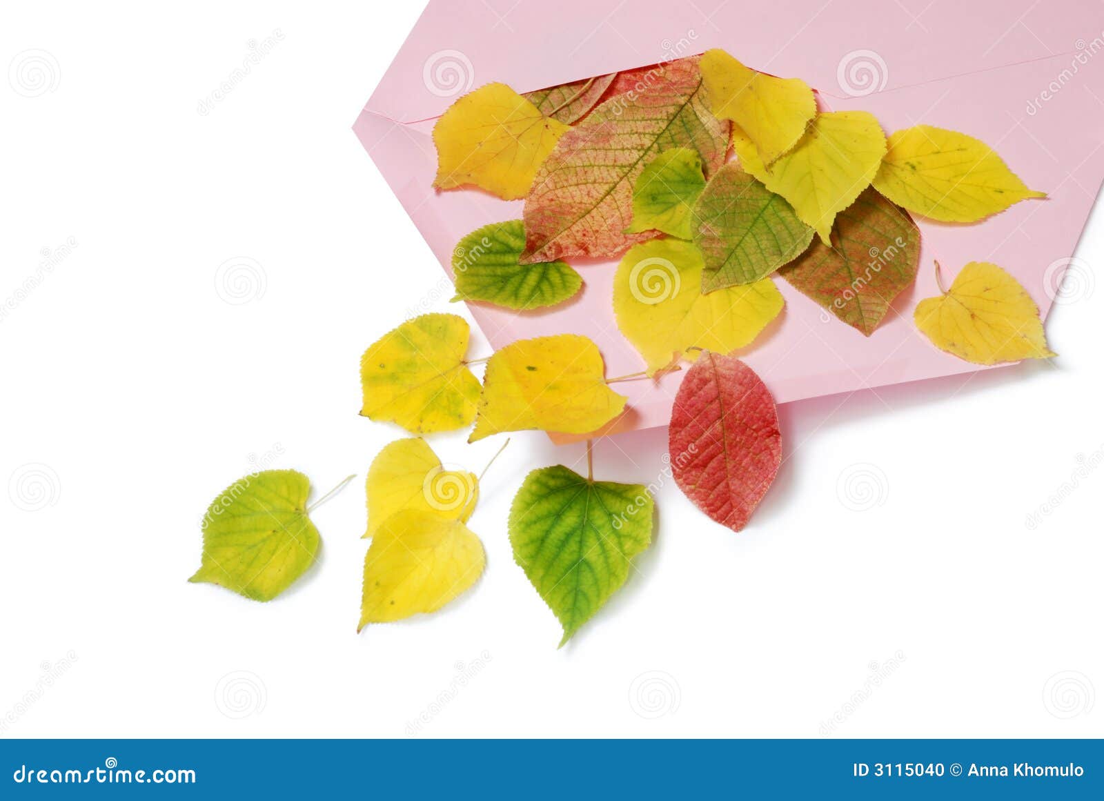 Autumn envelope stock photo. Image of change, floral, envelope - 3115040