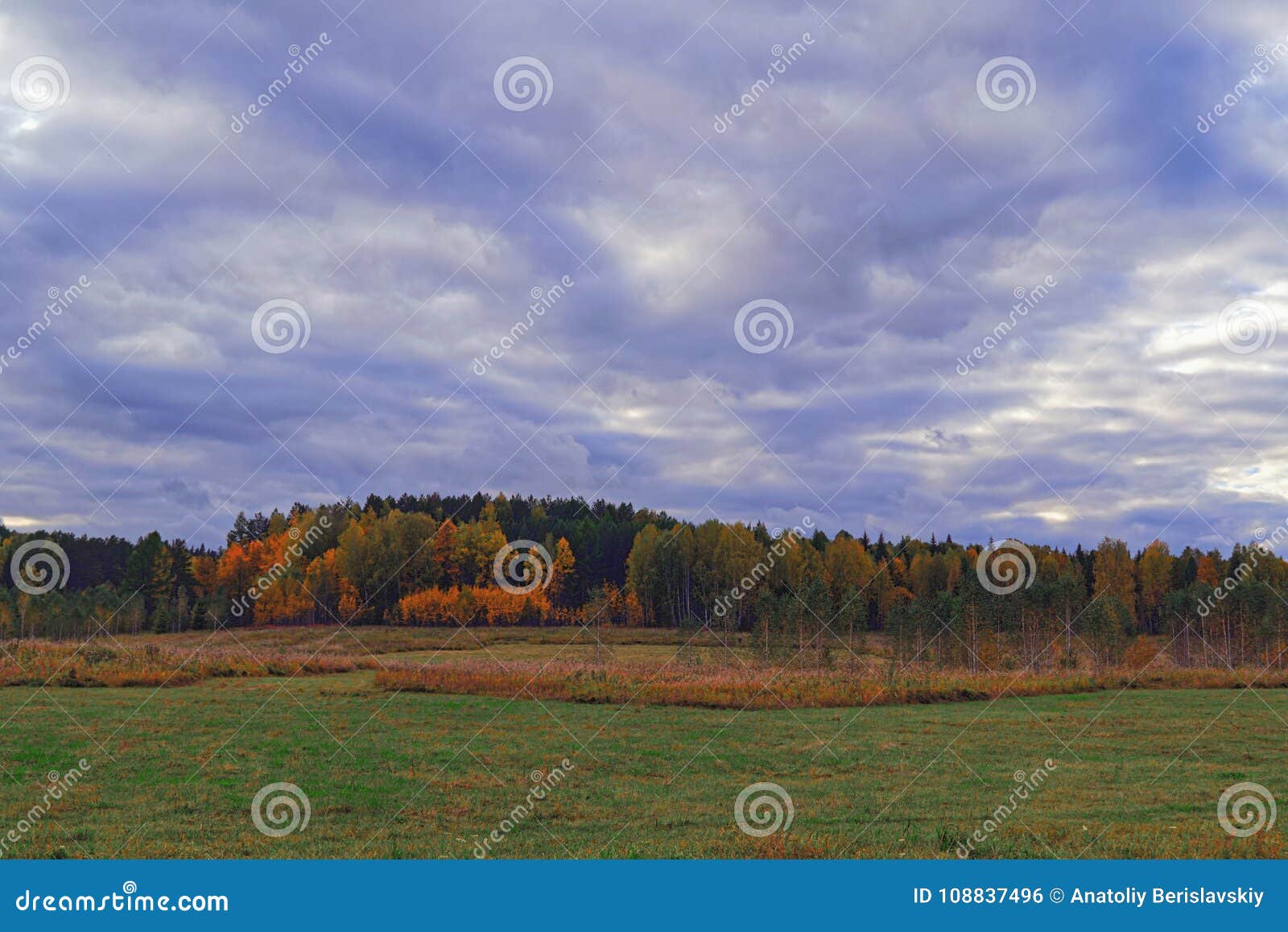 Autumn Evening by the Forest Edge Stock Photo - Image of contemplation ...