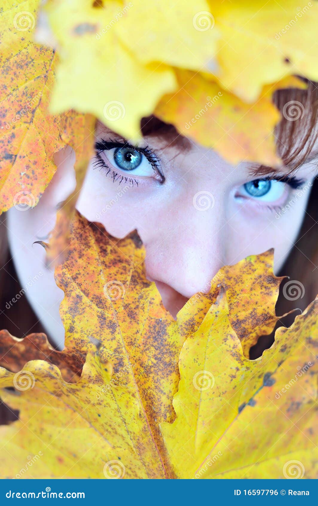 Autumn eyes stock photo. Image of girl, female, maple - 16597796