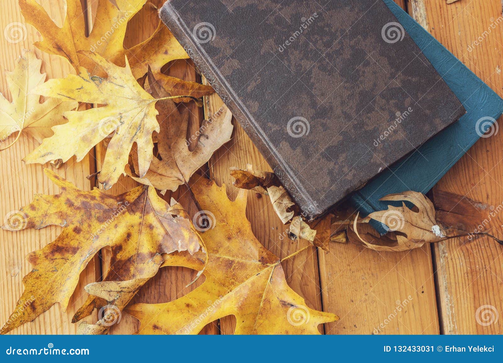 Autumn Fall Background with Maple Leaves and Books Stock Image - Image ...