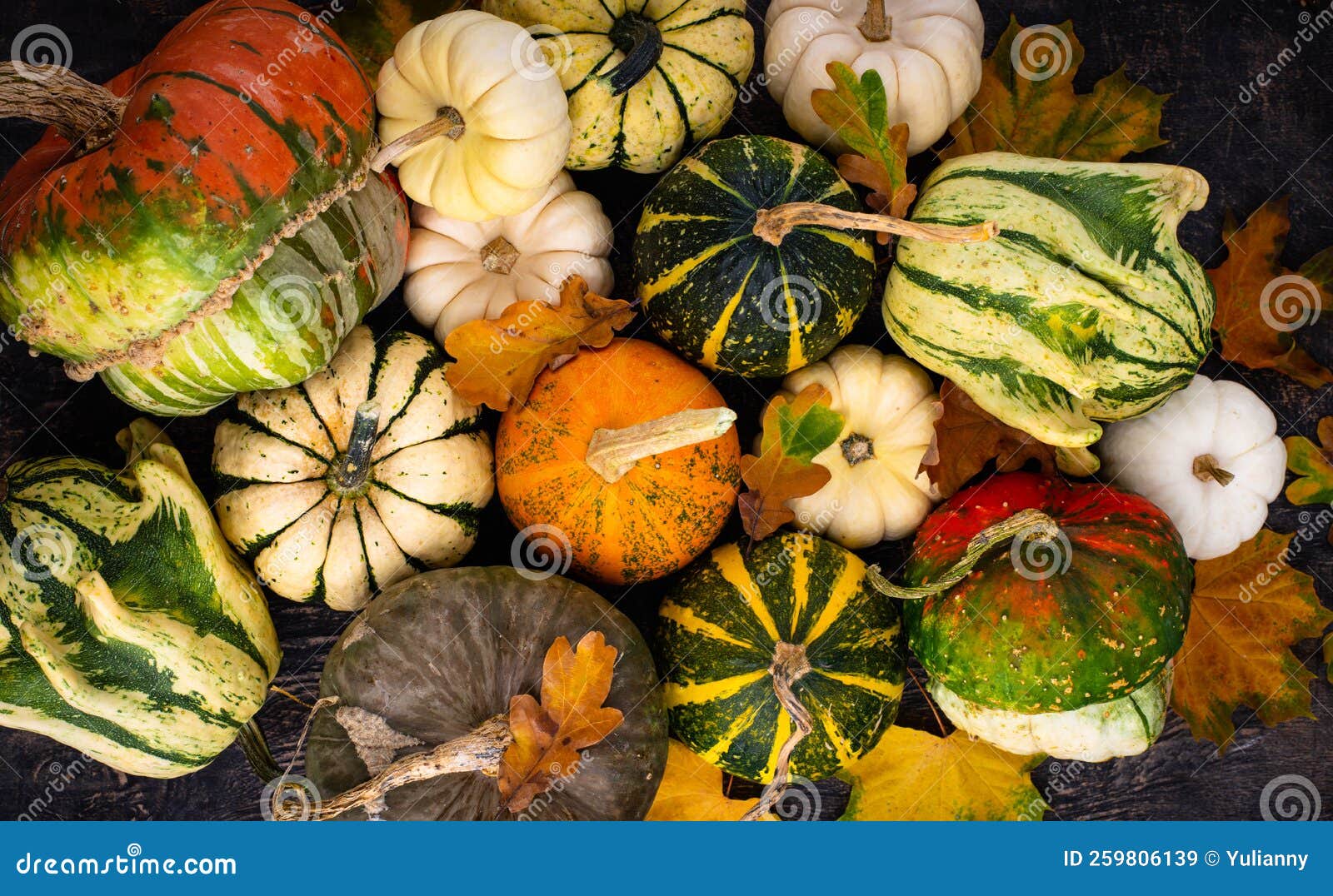 Autumn Fall Background with Pumpkins Stock Image - Image of pumpkin ...