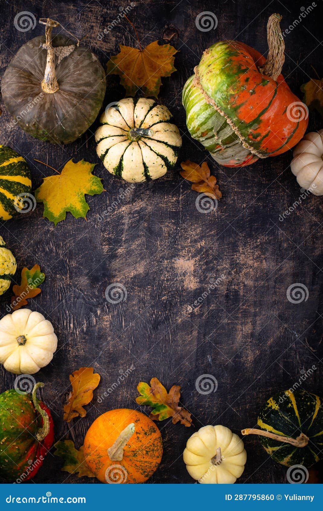 Autumn Fall Background with Pumpkins Stock Photo - Image of nature ...